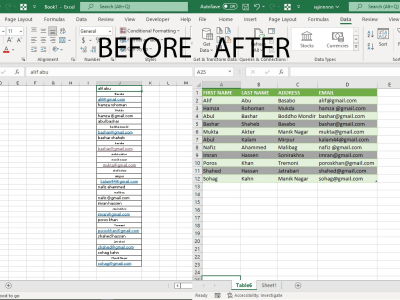 Professional Excel data entry, data cleaning and formatting etc service ...