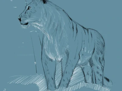 Beautiful high quality digital drawings | Upwork