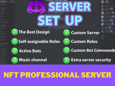 Professional NFT Discord Server Full Setup With All Bots | Upwork