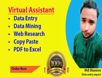 Data Entry, Data Mining, Data Collection & web research | Upwork