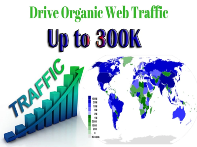 Web Traffic Optimization Services Online | Upwork