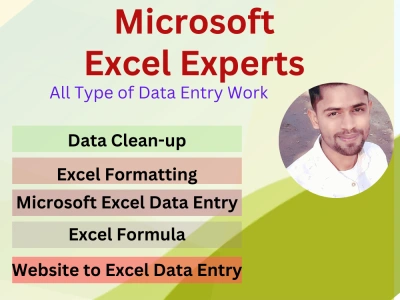 Excel data entry, cleaning and formatting service | Upwork