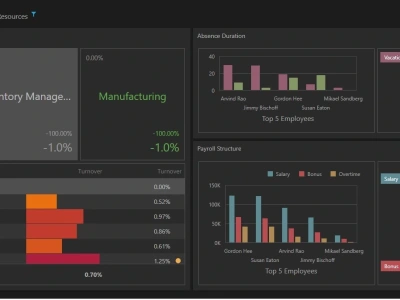 BI Dashboards and Reports Designer | Upwork