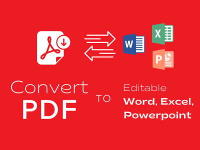 Converted PDF to word, excel, PDF form, data entry, and typing | Upwork