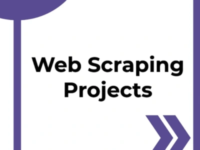 An excel sheet of scraped data with the option of the web scraper! | Upwork