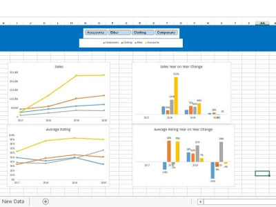 A workable, editable and visually comprehensive Dashboard | Upwork