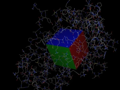 Molecular docking, MD Simulation and Primer Designing in Auto Dock ...