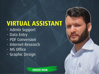 Professional Virtual Assistant Support for Admin and Data Entry Tasks | Upwork