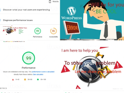 WordPress Bug Fix, WordPress Customization | Upwork