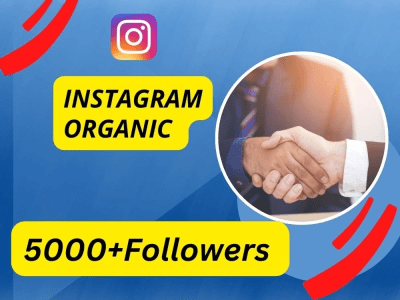 Instagram Organic Promotion Expert | Upwork