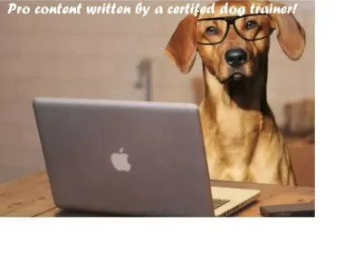 10 articles about dogs of your choice for a special discounted price ...