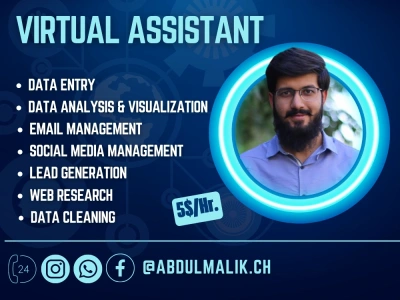 Personal virtual assistant for accurate data entry, excel data analysis ...