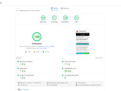 WordPress optimization ( score 100 on google ) | Upwork