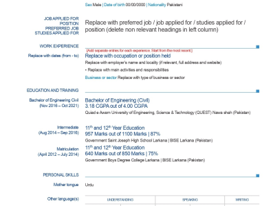 Curriculum Vitae (CV) / Resume in Europass Format. | Upwork