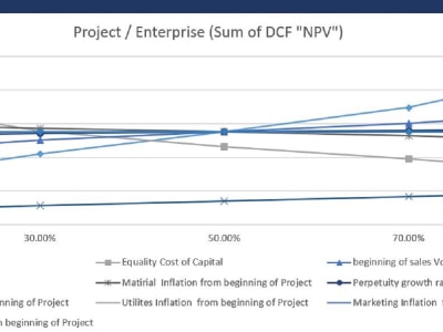 Solid well structured business model, financial model, projections ...