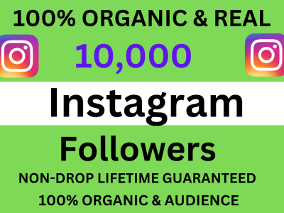Instagram real active organic follower | Instagram Followers | IG ...