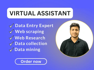 Your virtual assistant for data entry, data mining, web research | Upwork