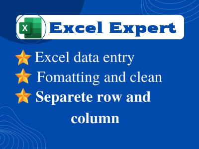 Excel data entry,data cleaning and formatting | Upwork