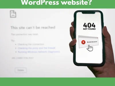 Bugs Fixed for your WordPress Website | Upwork