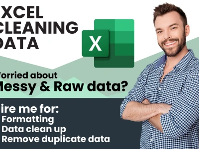 Ms excel data cleaning and document formatting | Upwork