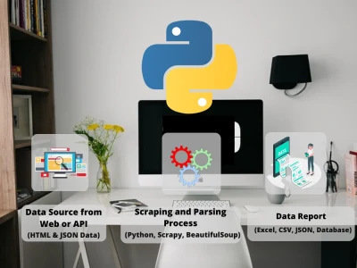 Python API scraper or web scraper to help your business report | Upwork