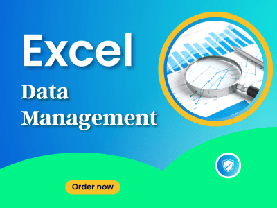 Data management in Excel | Upwork