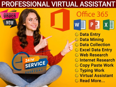 Virtual assistant, excel data entry, copy paste, PDF to excel Amazon eBay | Upwork