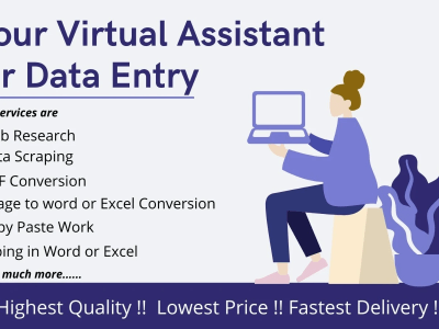Virtual assistant for data entry work | Upwork