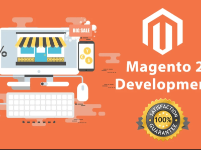 Your Magento bugs resolved | Upwork