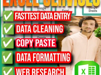 Microsoft Excel data cleaning and data formatting | Upwork