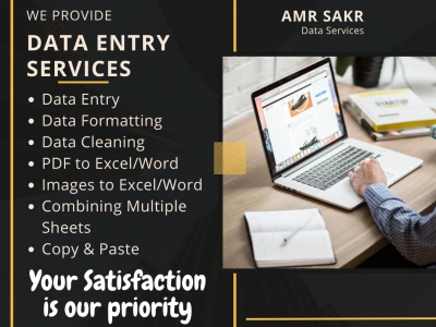 Data entry, cleaning & formatting service | Upwork