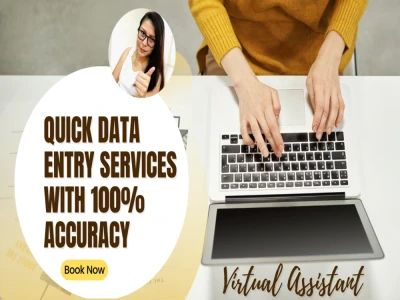 A reliable Virtual Assistant: Quick Data Entry Services with 100% ...
