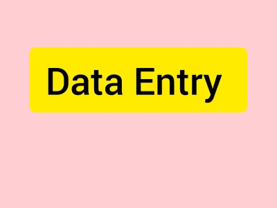 Any data entry task | Upwork