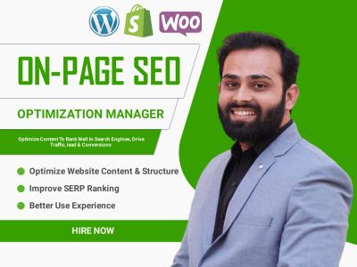 On page SEO manager for Google SERP ranking | Upwork
