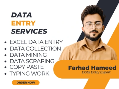 Data entry, copy-pasting, web research, typing, data mining | Upwork