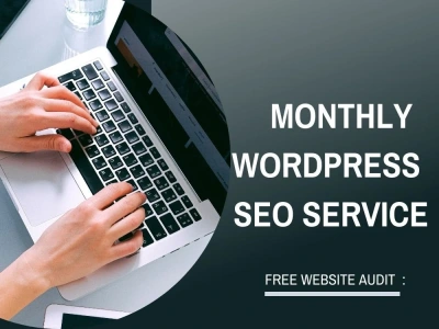 Complete monthly WordPress SEO for organic traffic | Upwork