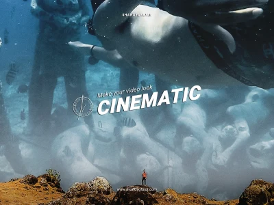 A commercial video editor for YouTube's professional editing services ...