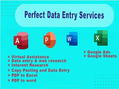 Professional Data Entry in Excel/ Excel VBA | Upwork