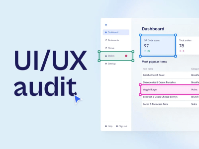 A professional UI/UX assessment of your website/app with ...