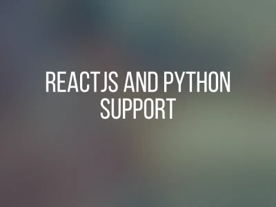 A ReactJS & Python Hourly Support | Upwork