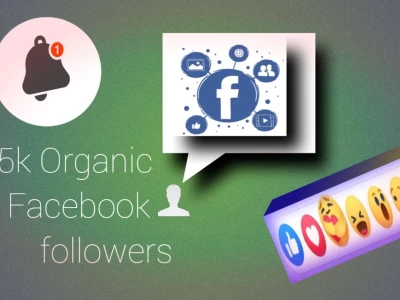5000 organic non-drop followers on your facebook age | Upwork