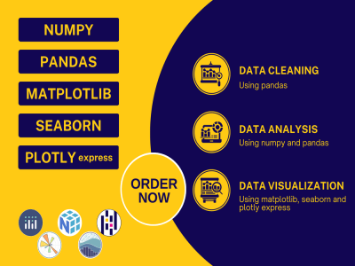 Data cleaning, analysis and visualizations report with python | Upwork