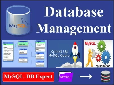 MySql Database Design, Normalization, ERD, Setup, Schemas and Optimizations | Upwork
