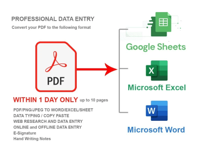 An accurate data entry, typing, and PDF conversion into MS Word & MS Excel | Upwork