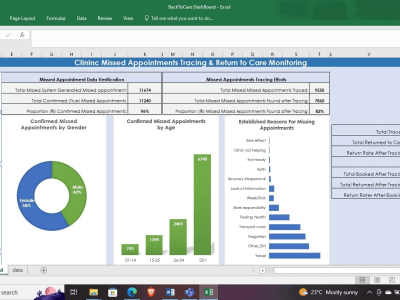Timely data entry and interactive visuals for your data! | Upwork