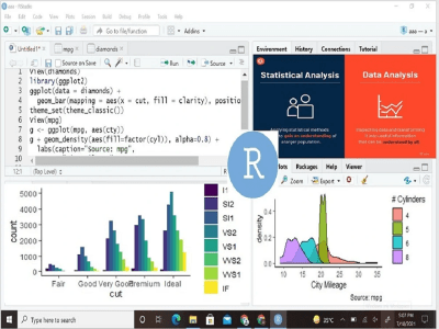 Data Analysis and Statistical Analysis in R and SPSS | Upwork