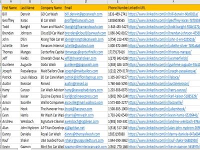 Data Entry, Lead Generation, Email Listing, File Conversion | Upwork