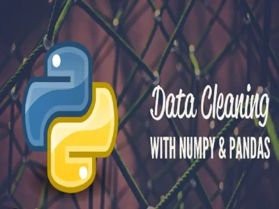 Expert Data Cleaning Services using Python | Upwork