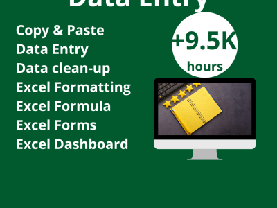 Excel data entry, PDF to Excel, data analysis and web research | Upwork