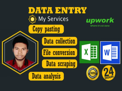 24 Data Entry, Data Mining, Data Collection & Web Recarch Service. | Upwork